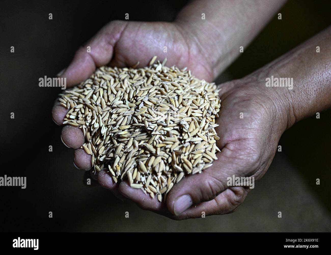 467 60 hi-res stock photography and images - Alamy