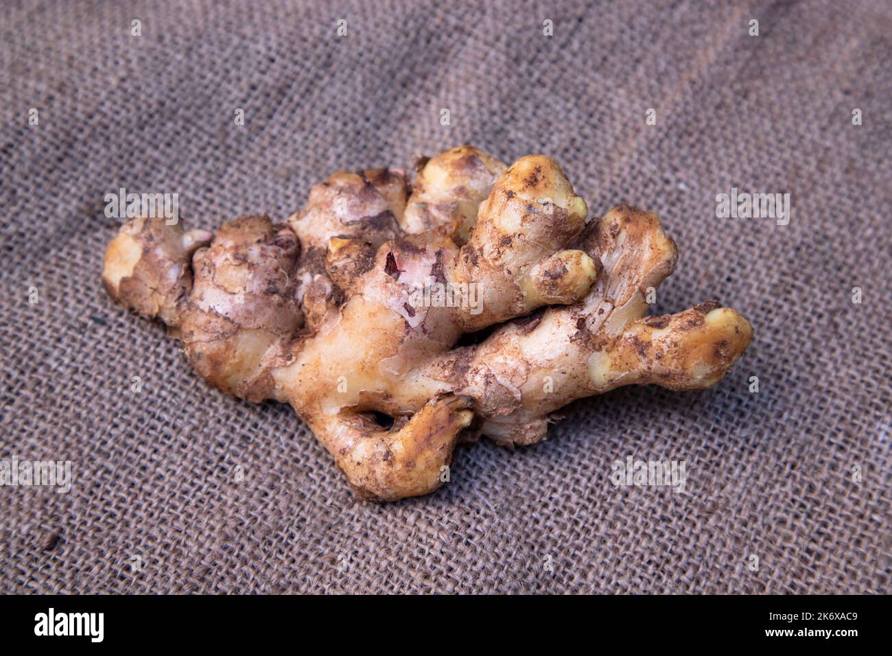 Ginger root fabric hi-res stock photography and images - Alamy