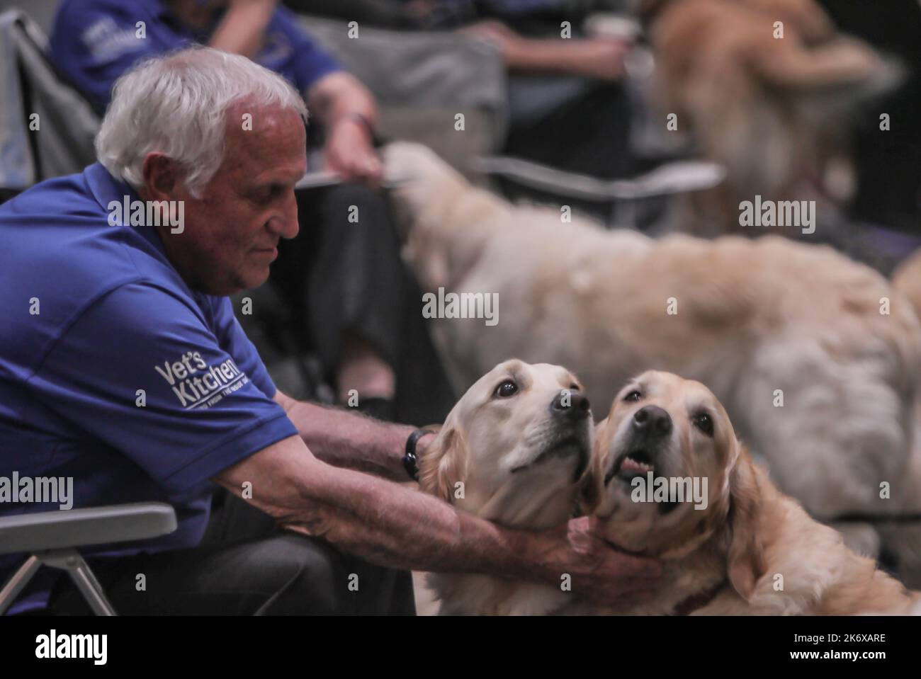 London UK 16 Oct. 2022 Organised by The Kennel Club, Discover Dogs is ...