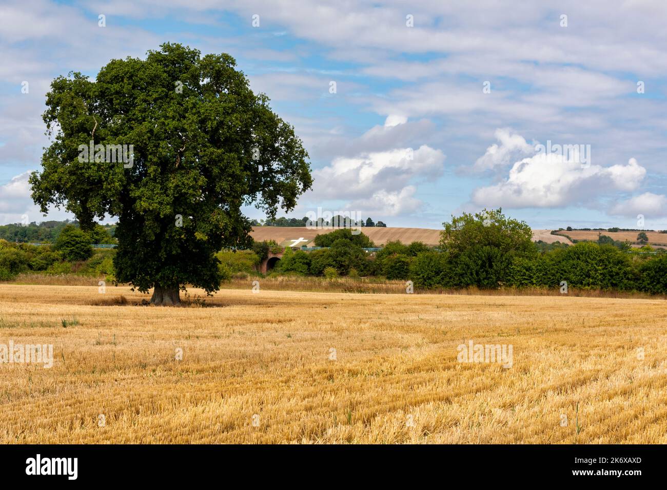 The Lenham Cross in the distance, is a chalk cross carved into the ...