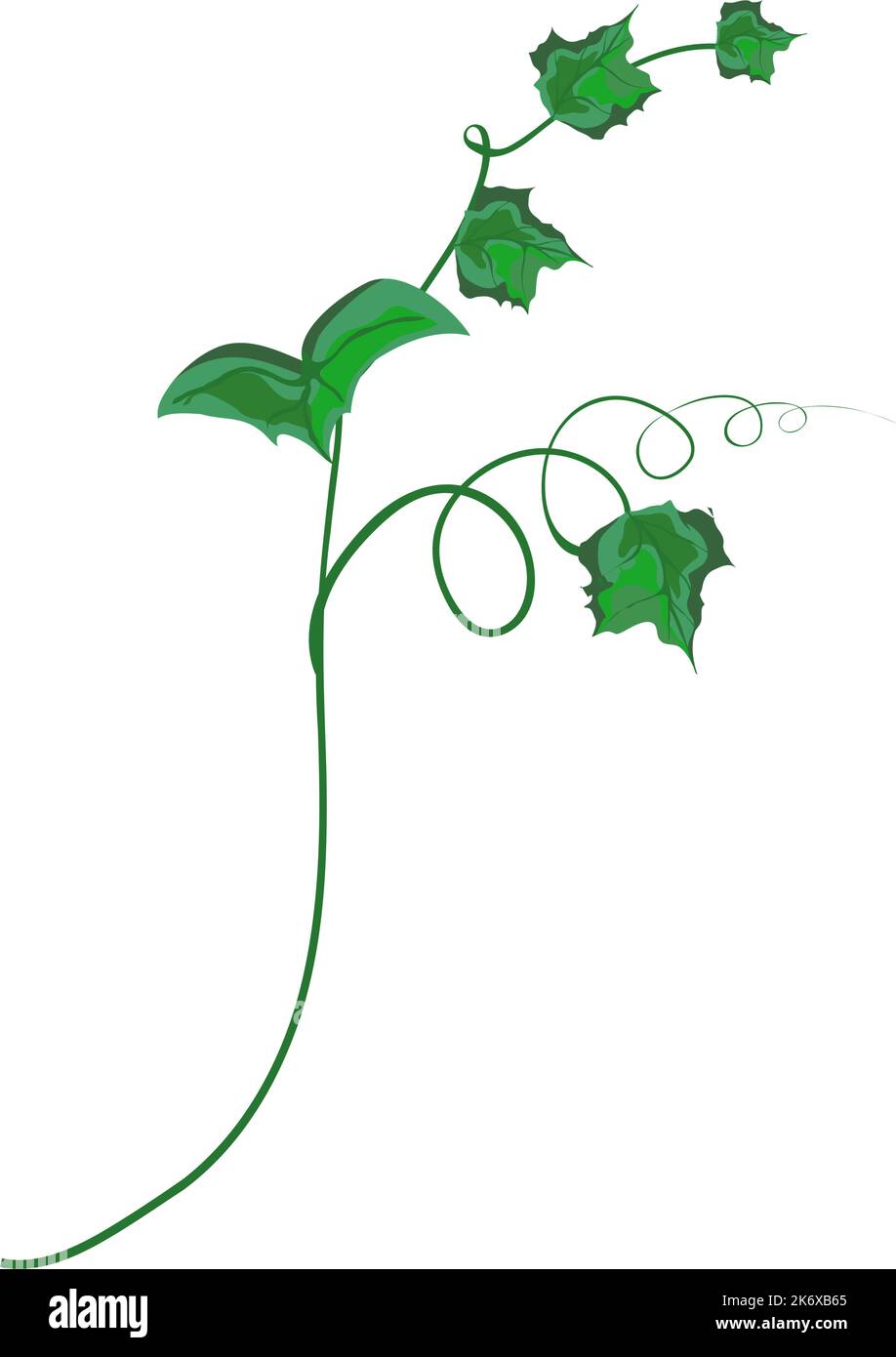 Pumpkin stem sprout cartoon isolated vector illustration on white ...