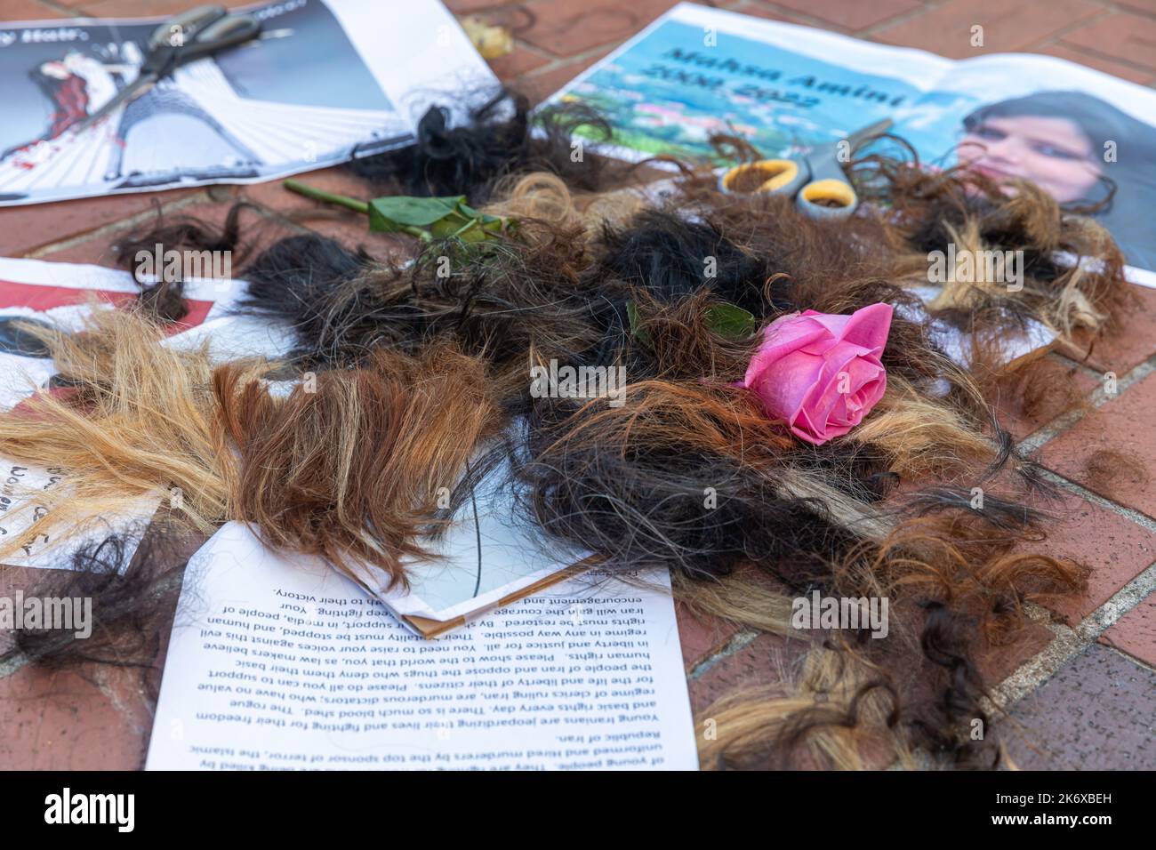 PORTLAND, OREGON, USA - Oct 15, 2022: Cropped locks of hair and a rose ...