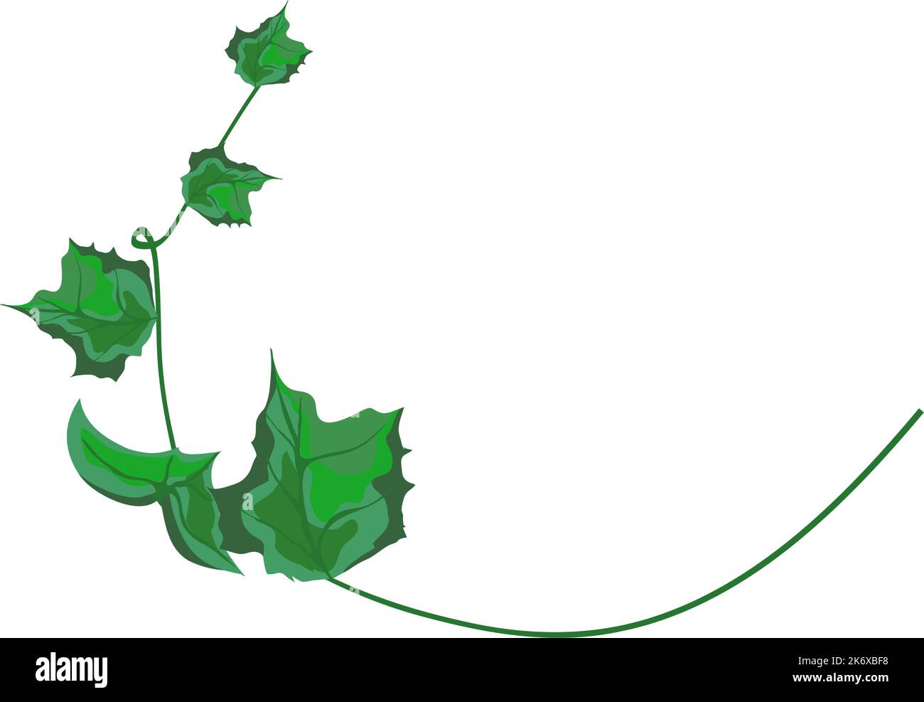 Pumpkin stem sprout cartoon isolated vector illustration on white ...