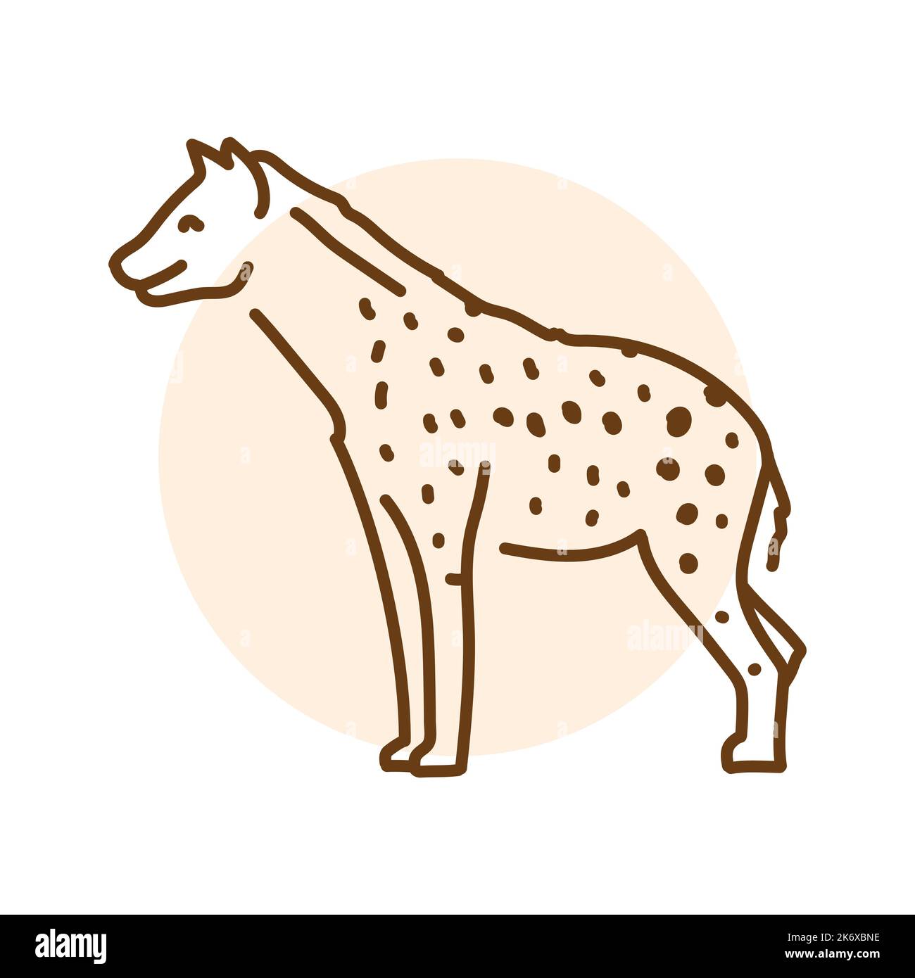 Hyena color line illustration. Animals of Australia Stock Vector Image ...
