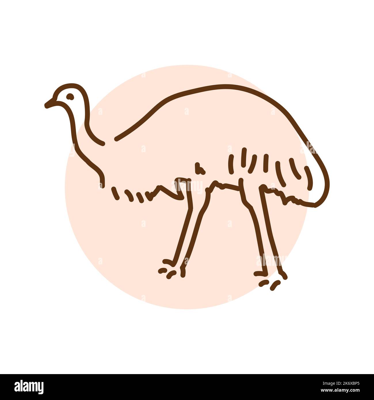 Australian ostrich Emu color line illustration. Animals of Australia ...