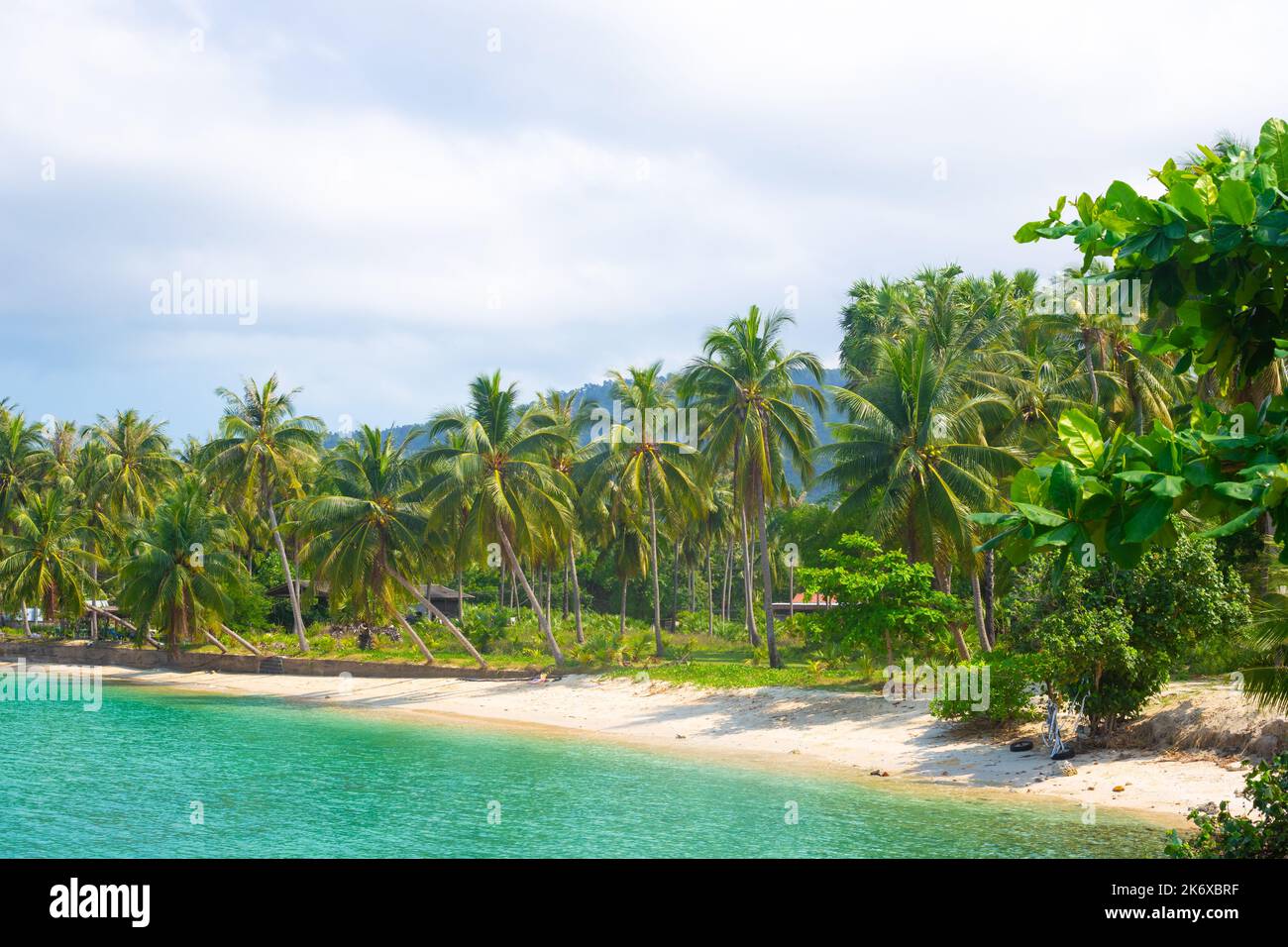 Tropical landscape. Sea coast with palm trees along the shore. Travel ...