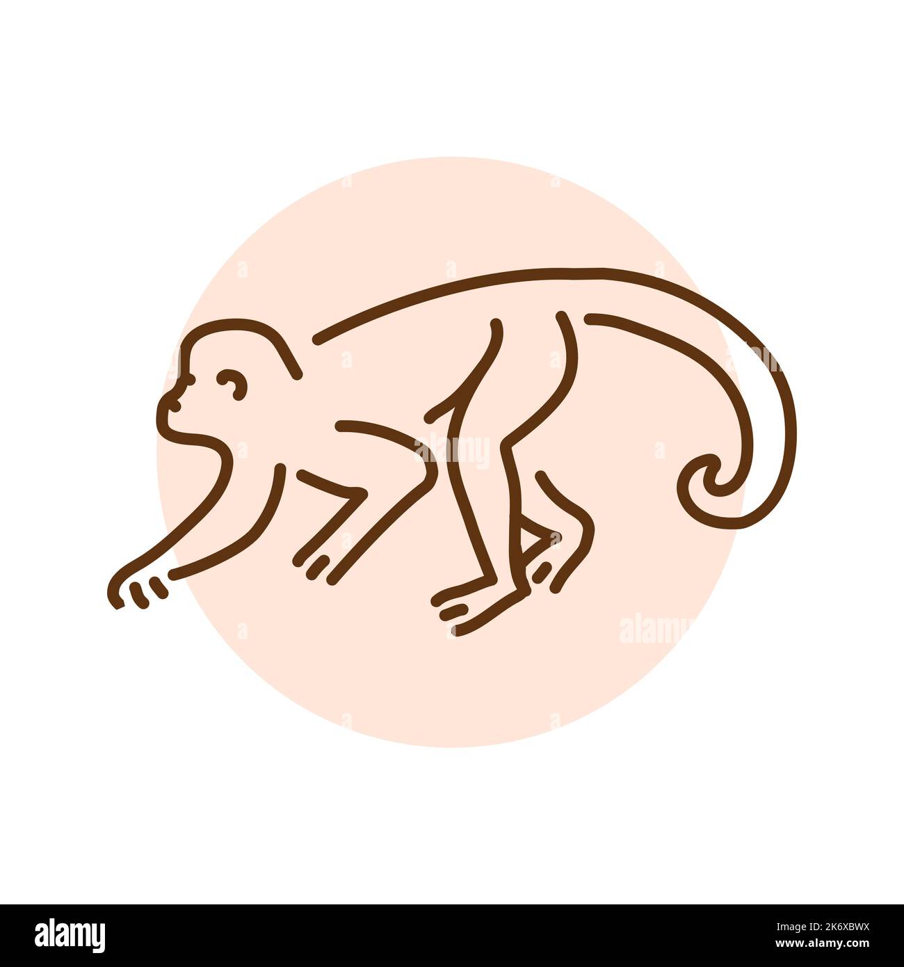 Monkey color line illustration. Animals of Australia Stock Vector Image ...