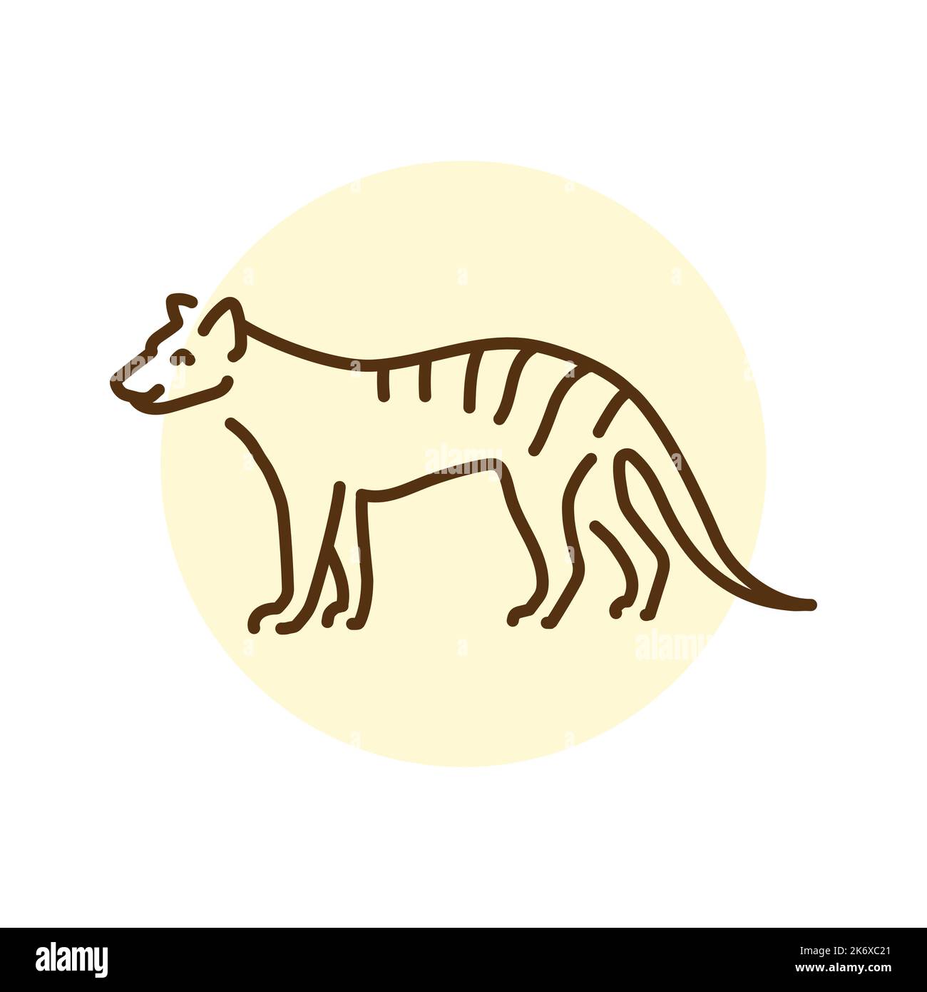 Marsupial wolf color line illustration. Animals of Australia Stock ...