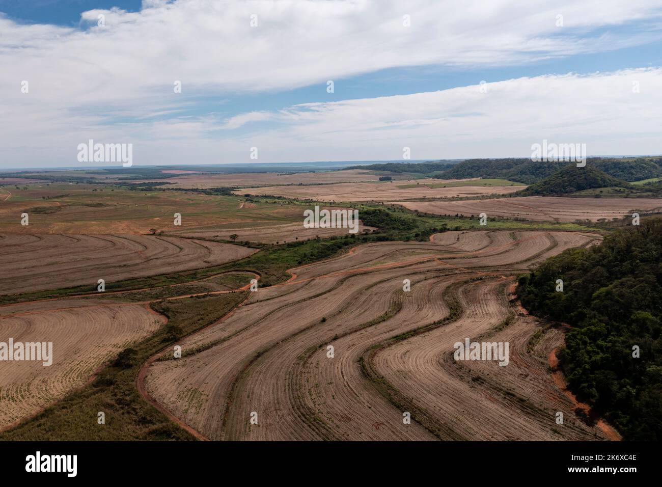 cane fields seen from above by drone Stock Photo - Alamy