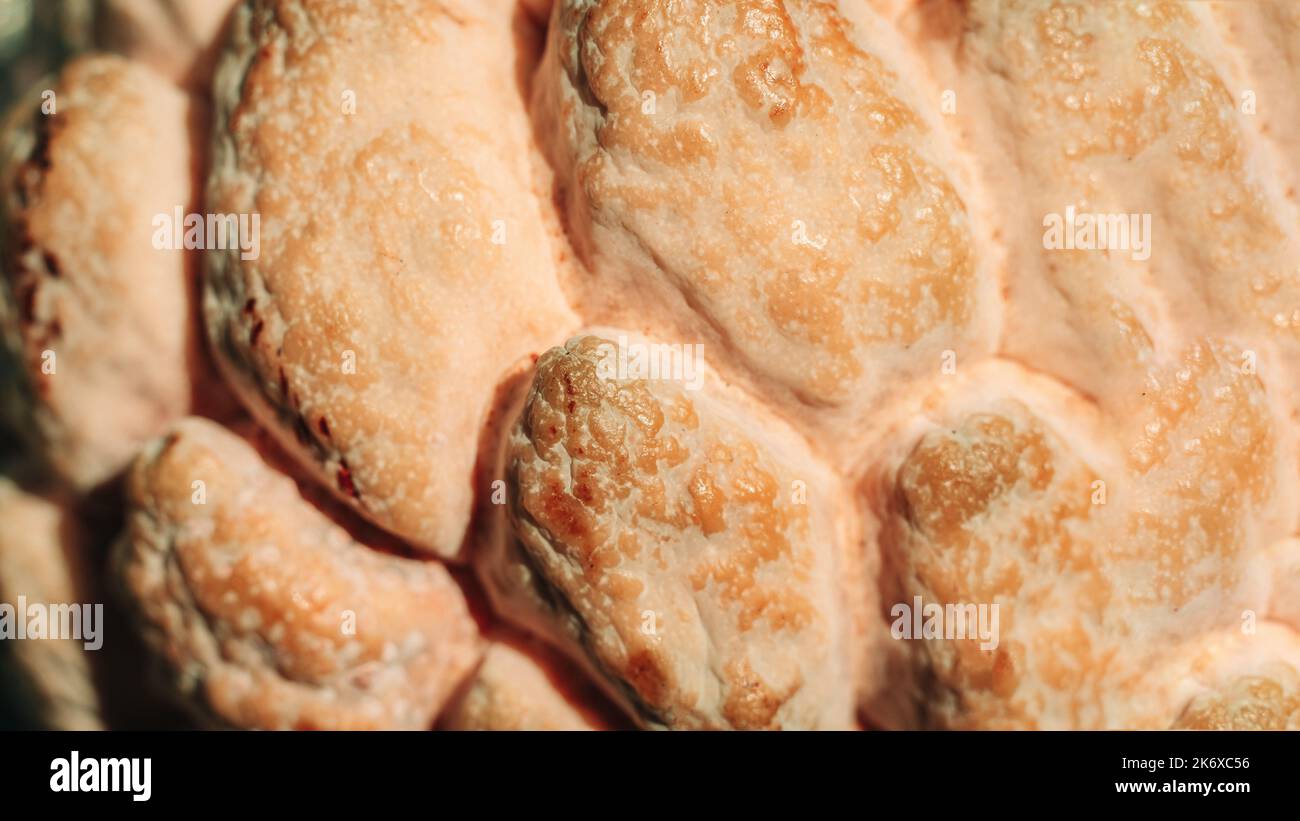 Abstract mystic background beauty nature wallpaper. Real photo close ...