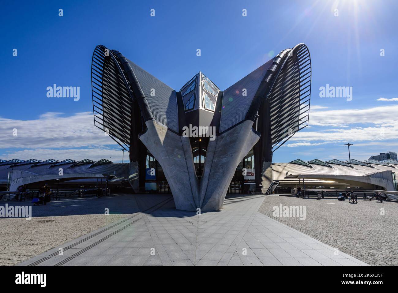 Lyon, Flughafen Saint-Exupery, Flughafenbahnhof Satolas von Architekt ...