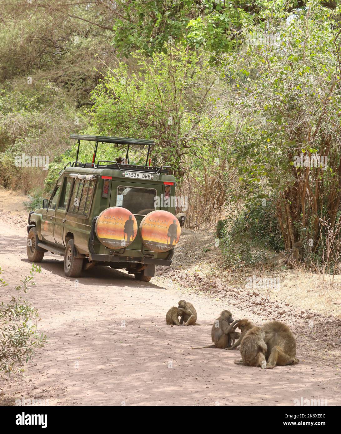 Parc national du tarangire hi-res stock photography and images - Alamy