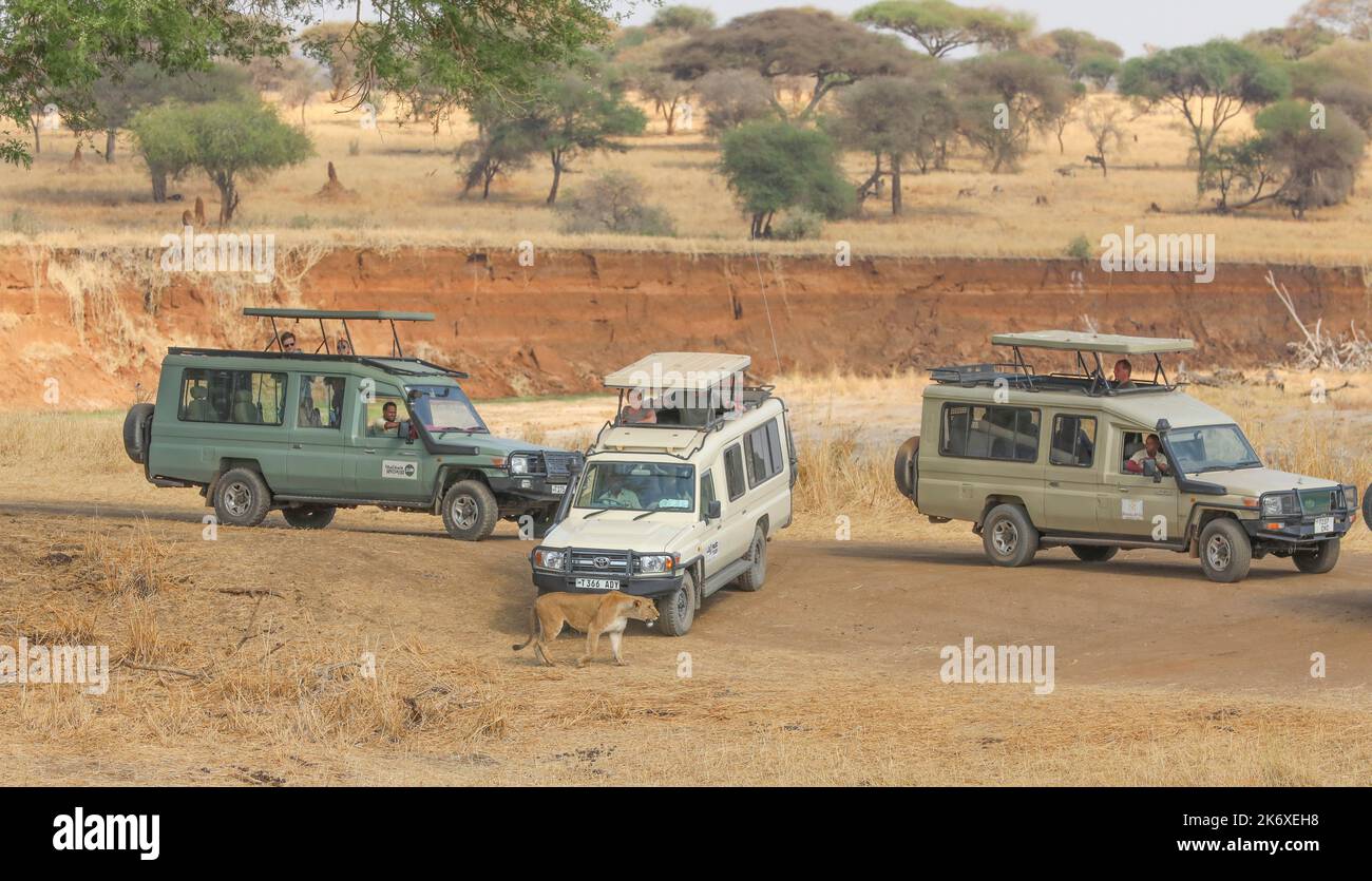 Parc national du tarangire hi-res stock photography and images - Alamy