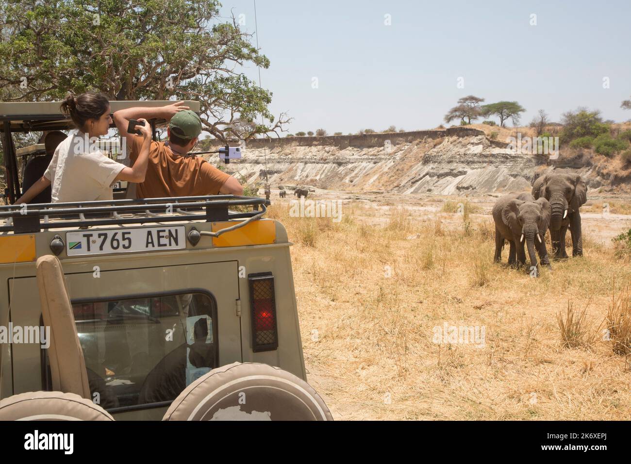 Parc national du tarangire hi-res stock photography and images - Alamy