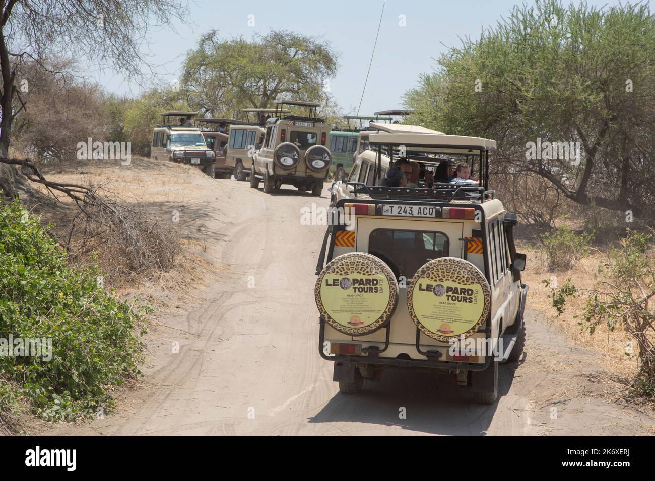 Parc national du tarangire hi-res stock photography and images - Alamy