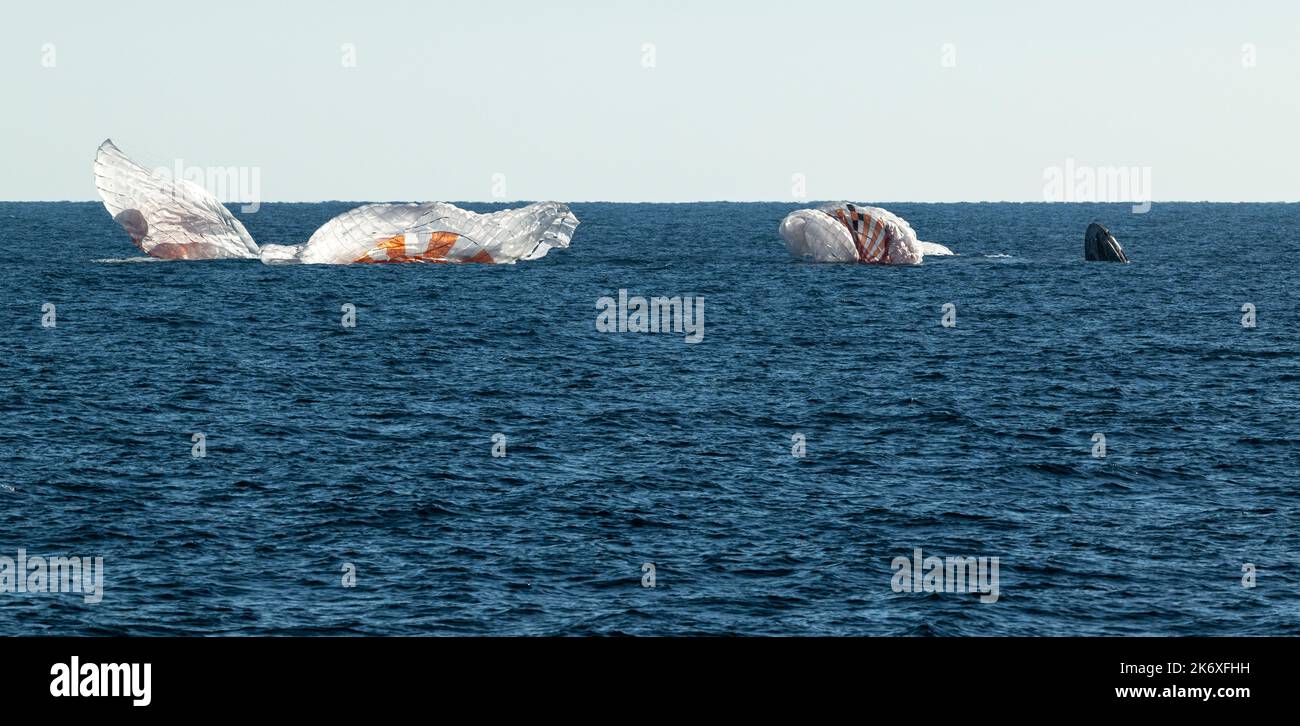 The SpaceX Crew Dragon Freedom spacecraft is seen as it lands with NASA ...
