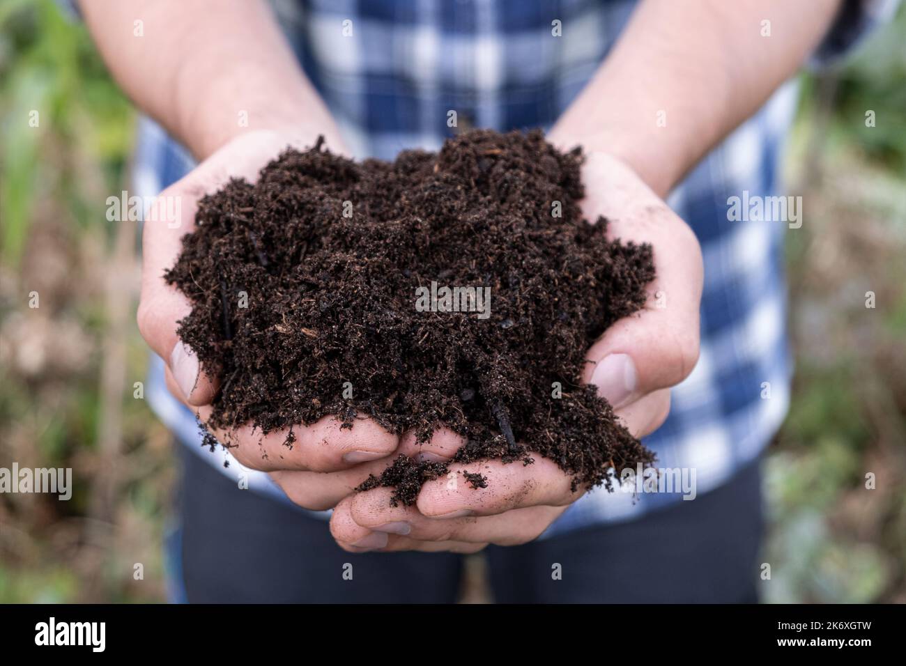 Hand full Of Rich Brown Soil compost. A man holds in dirty hands with ...