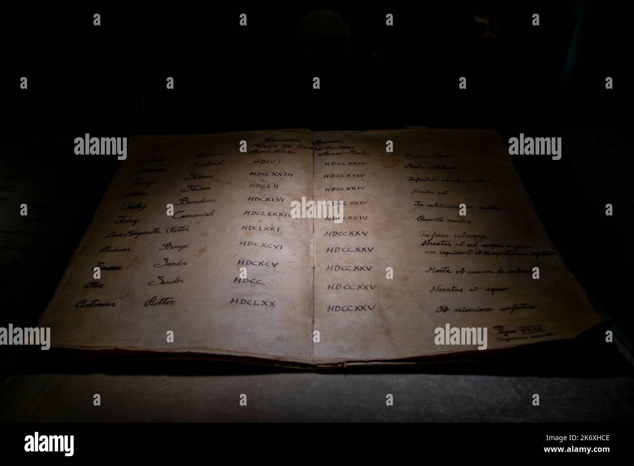 The Exhibition Of "Vampires: Art, History, Myths And Realities", From ...