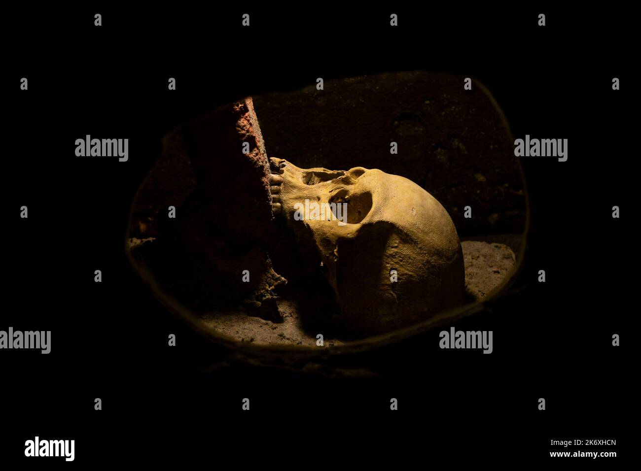 The Exhibition Of "Vampires: Art, History, Myths And Realities", From ...