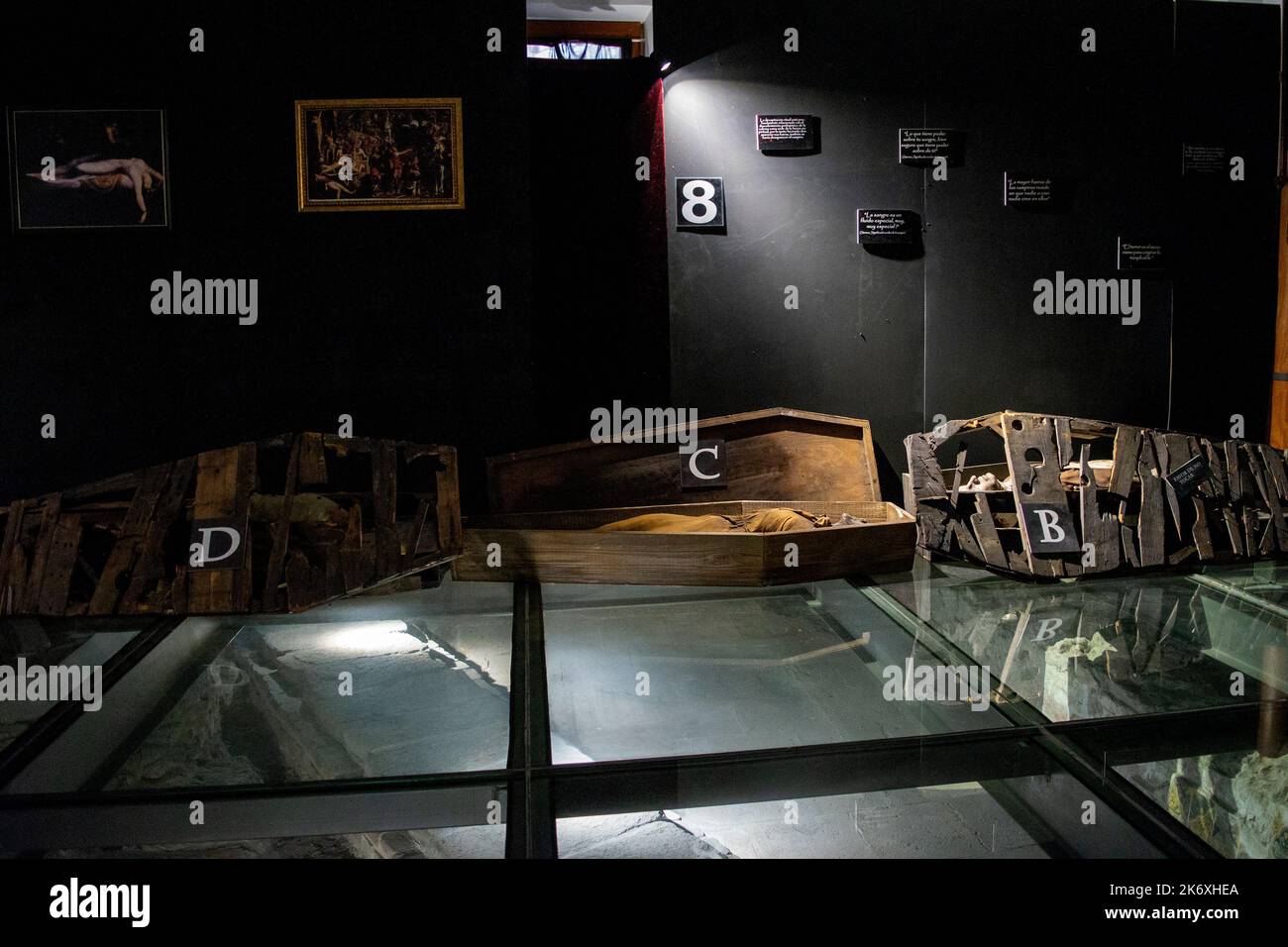 The Exhibition Of "Vampires: Art, History, Myths And Realities", From ...