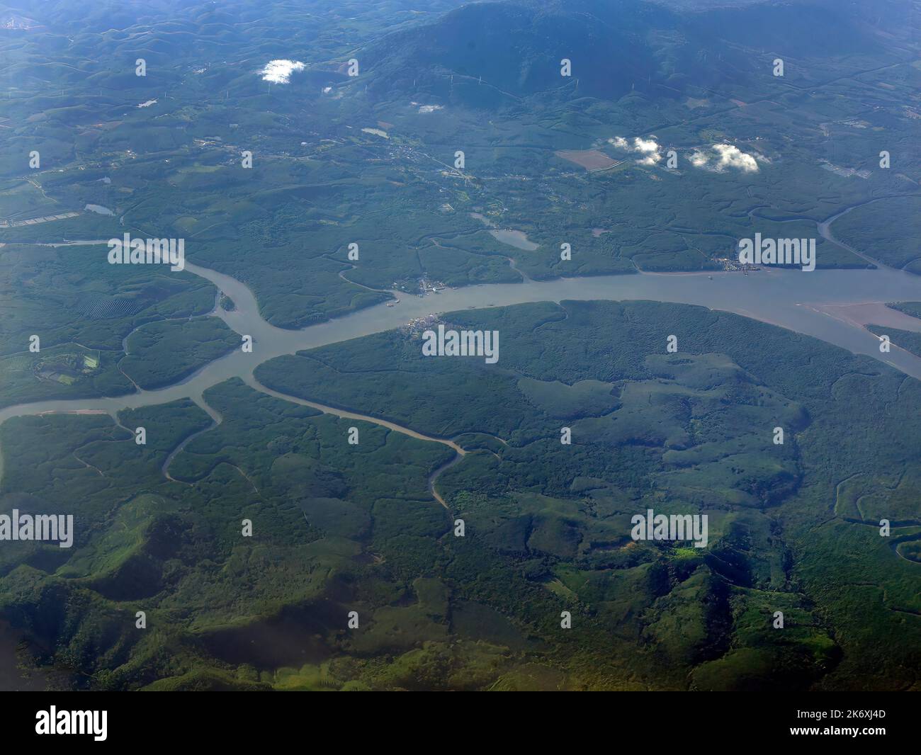 Aerial view flying over green large mangrove forests near the Andaman ...