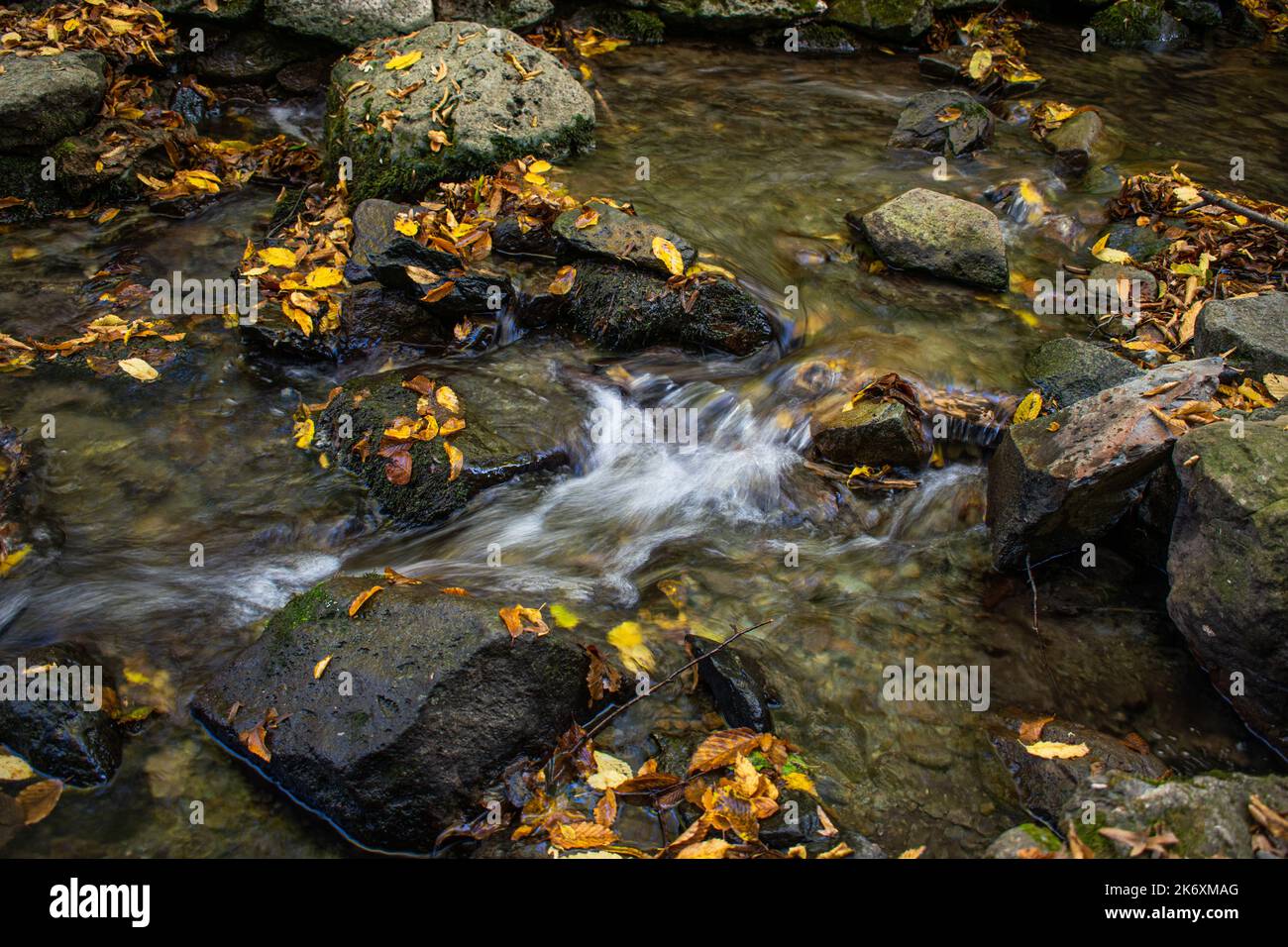 Stream closeup hi-res stock photography and images - Alamy
