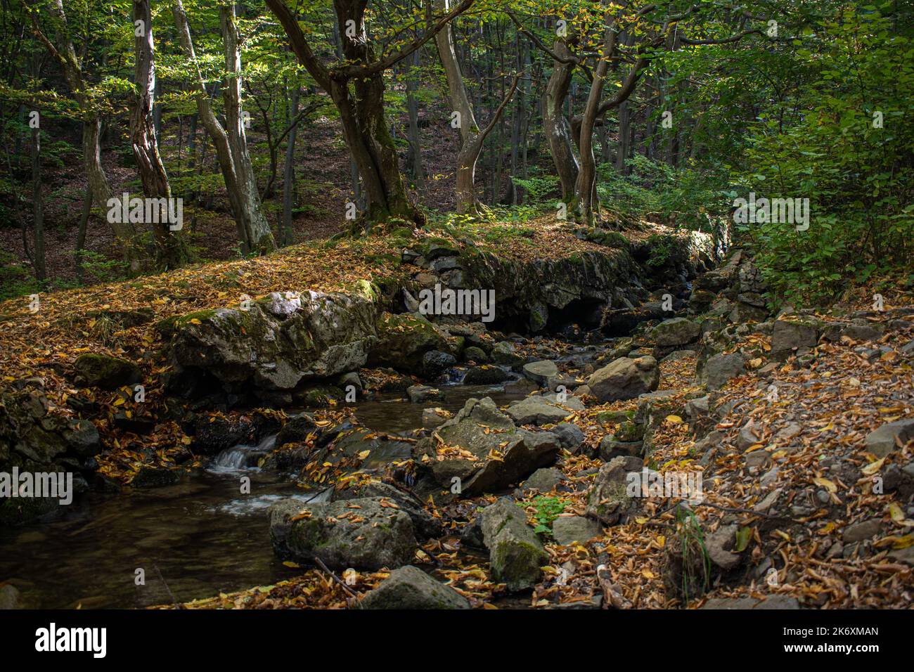 Small rocky stream Stock Photo - Alamy