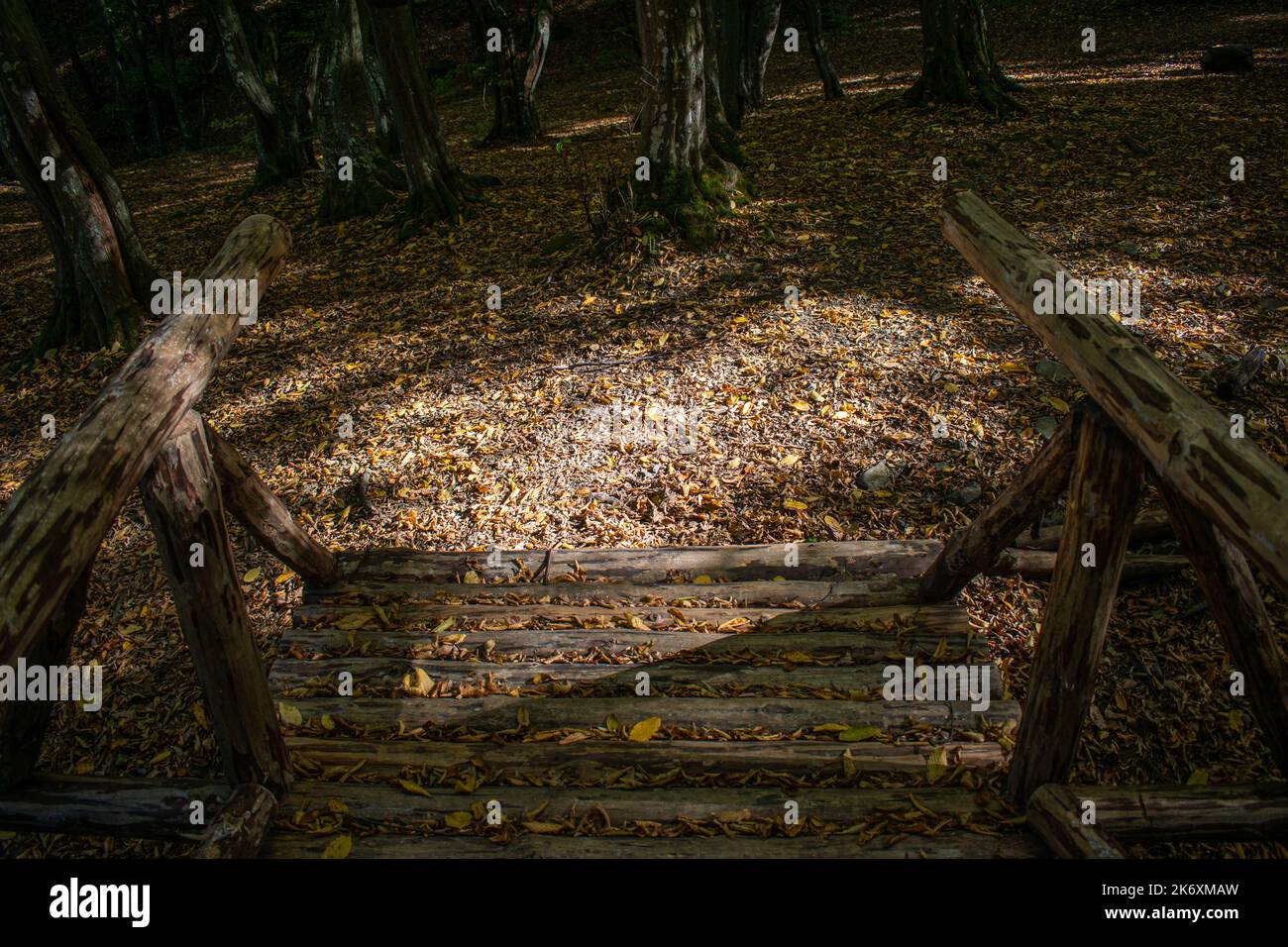 End of a wooden bridge Stock Photo - Alamy