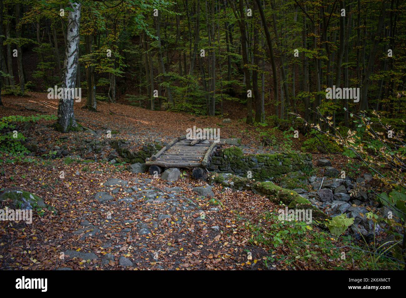 Broken wooden bridge hi-res stock photography and images - Alamy