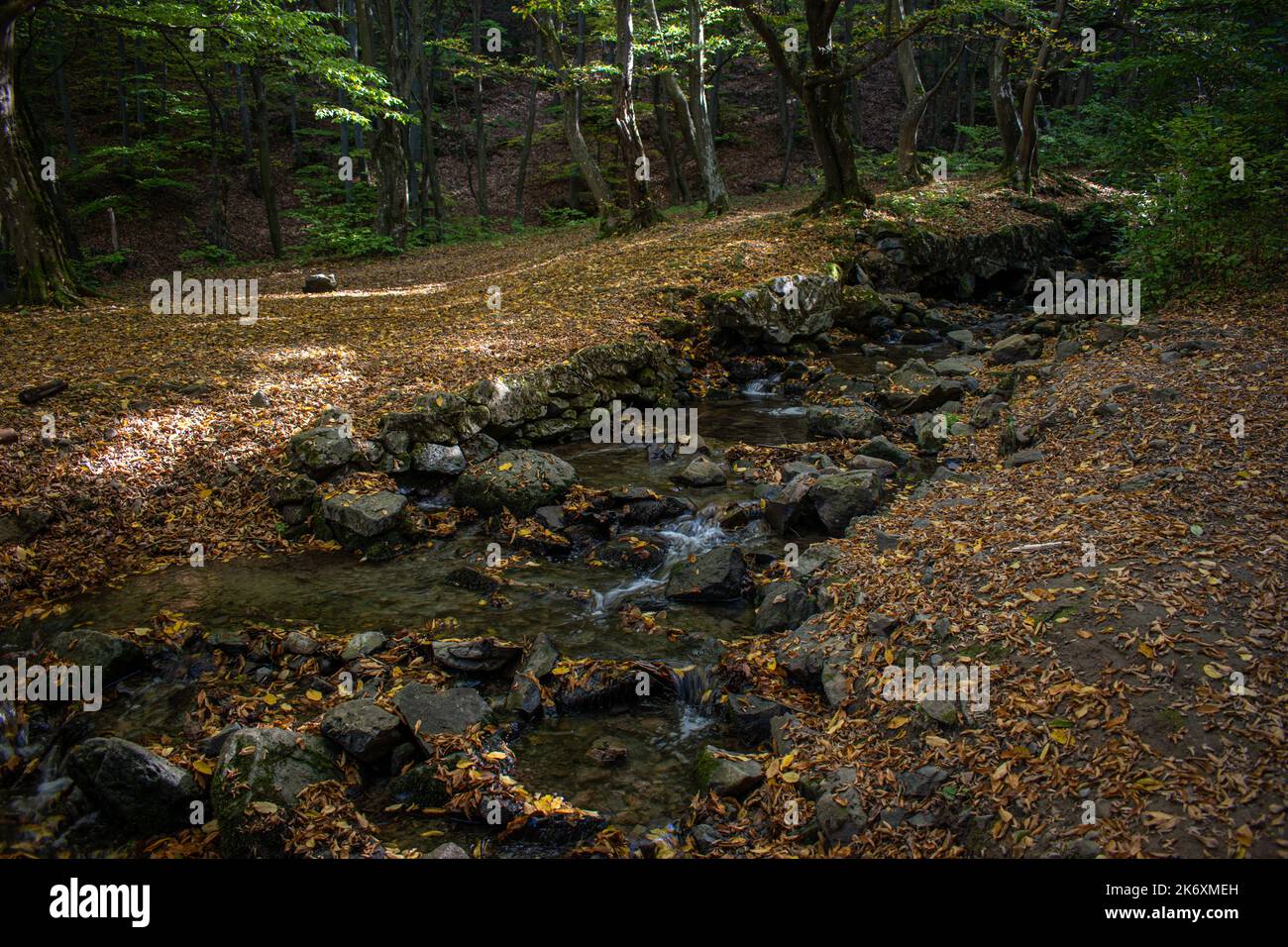Small rocky stream Stock Photo - Alamy