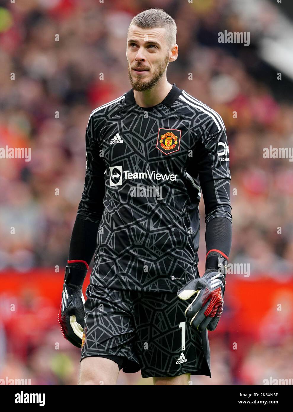 Manchester United goalkeeper David de Gea during the Premier League ...