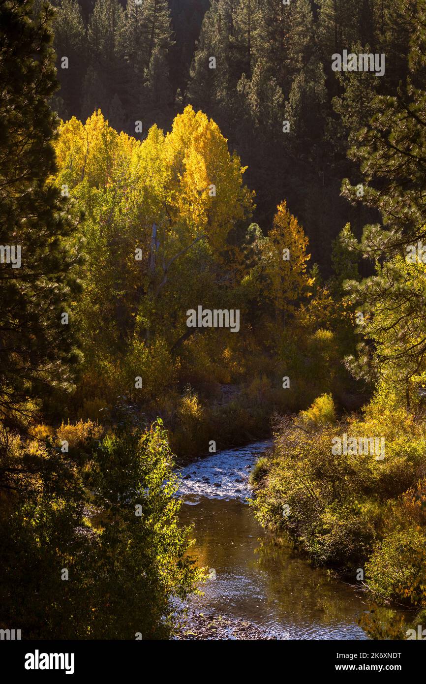 Lassen county hi-res stock photography and images - Alamy