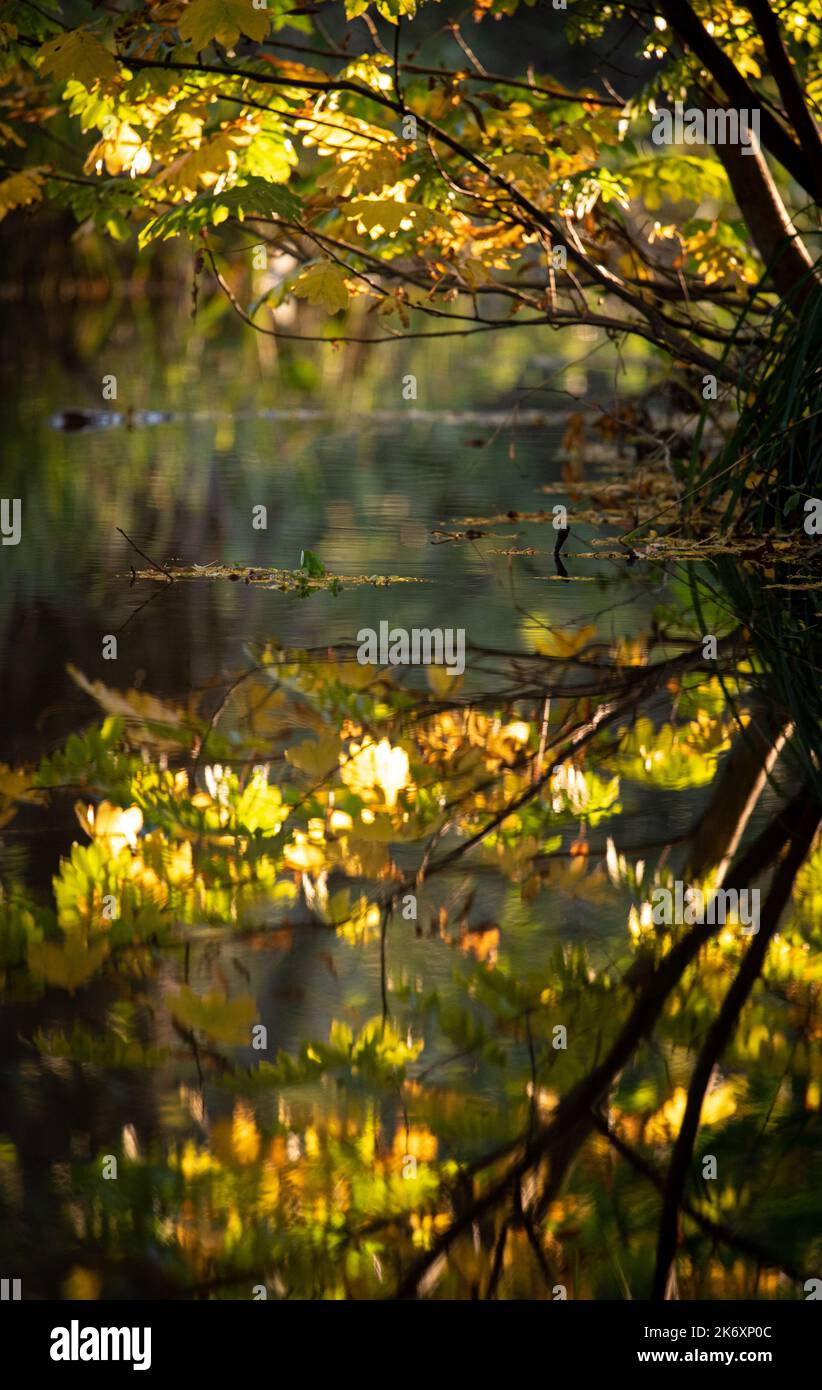 River pang and berkshire hi-res stock photography and images - Alamy