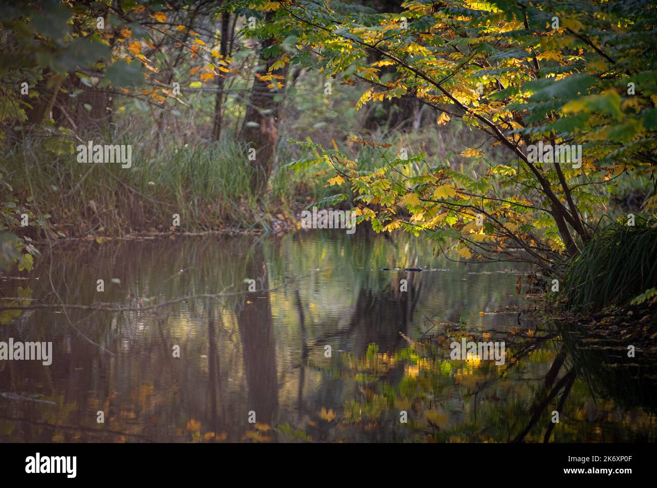 River pang and berkshire hi-res stock photography and images - Alamy