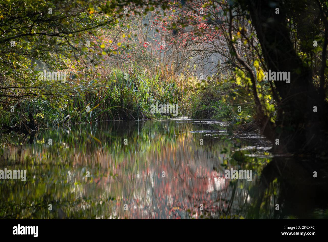 River pang and berkshire hi-res stock photography and images - Alamy