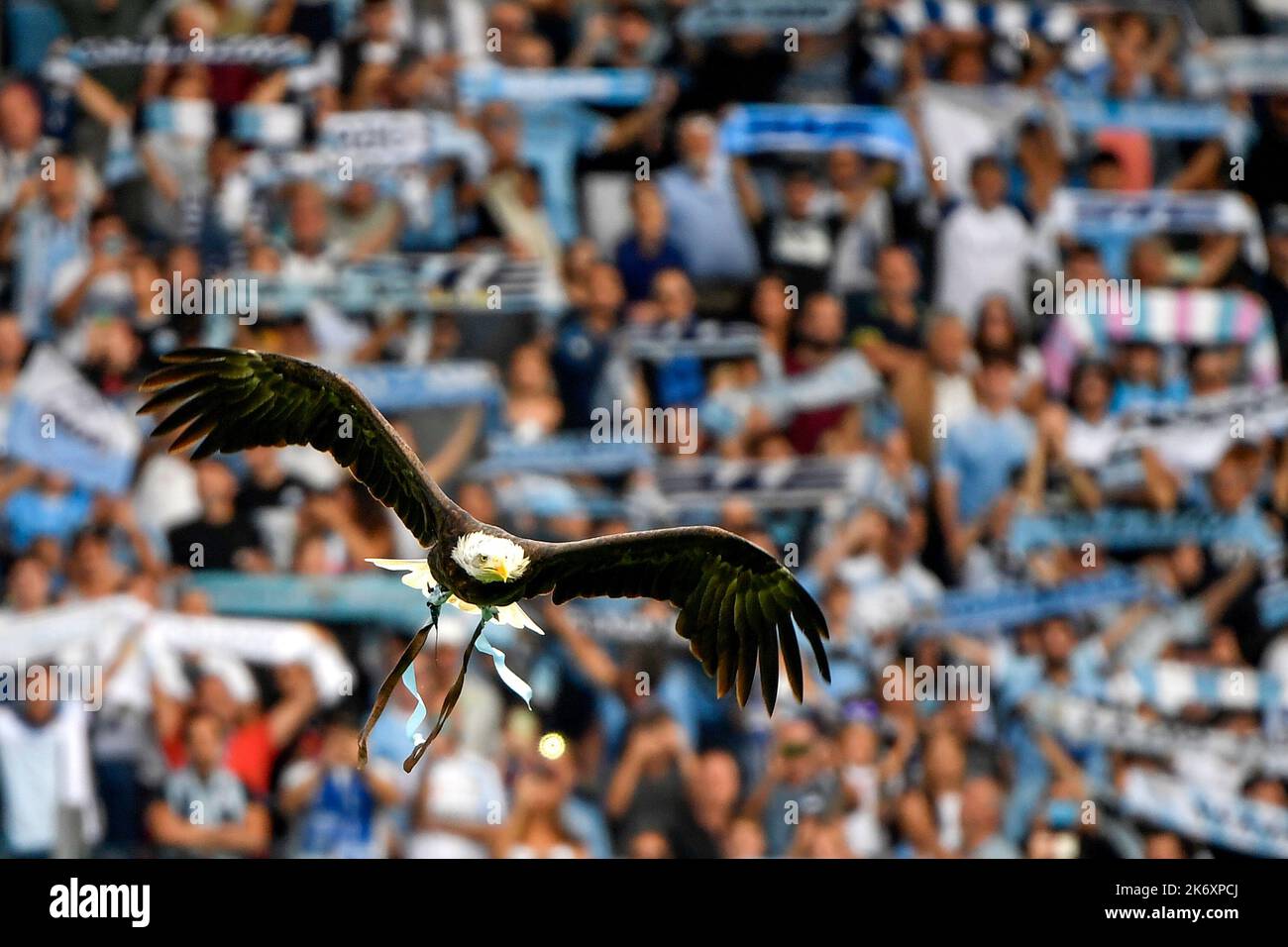 Roma mascot hi-res stock photography and images - Alamy