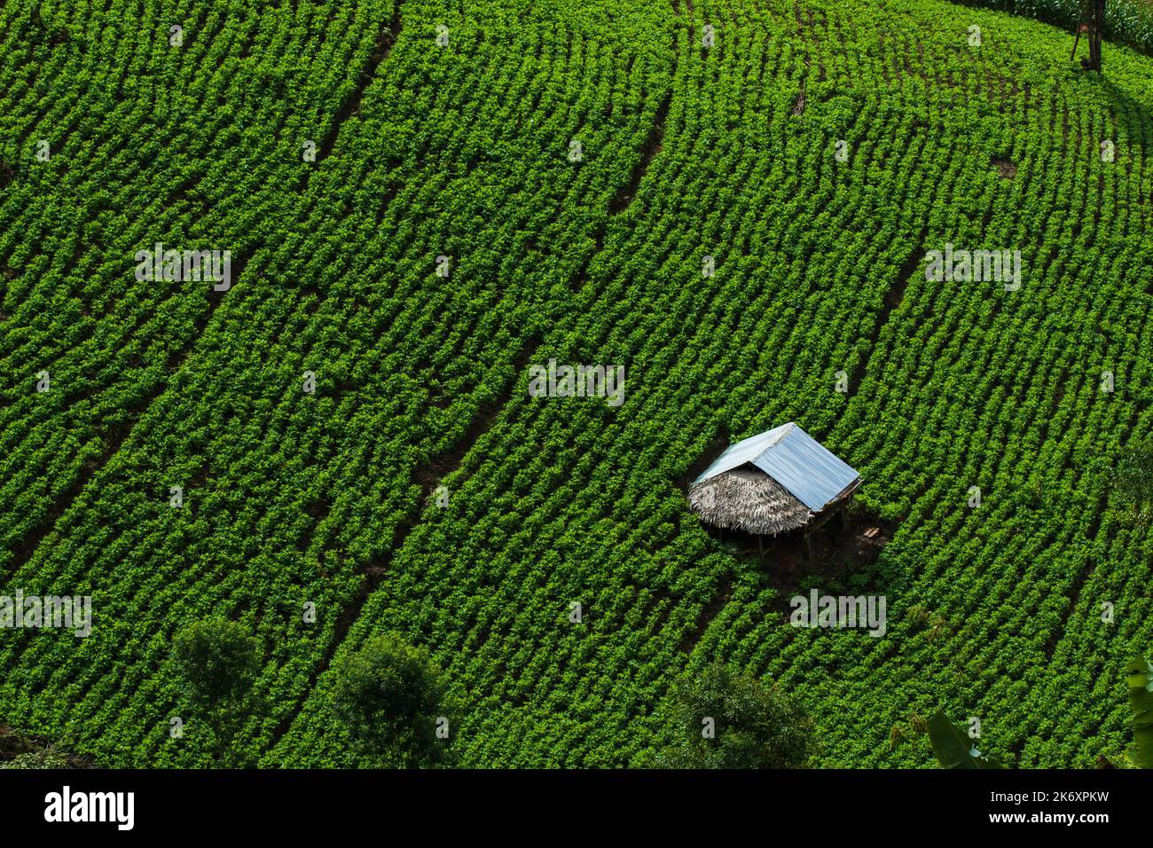 Small hut on wide hi-res stock photography and images - Alamy