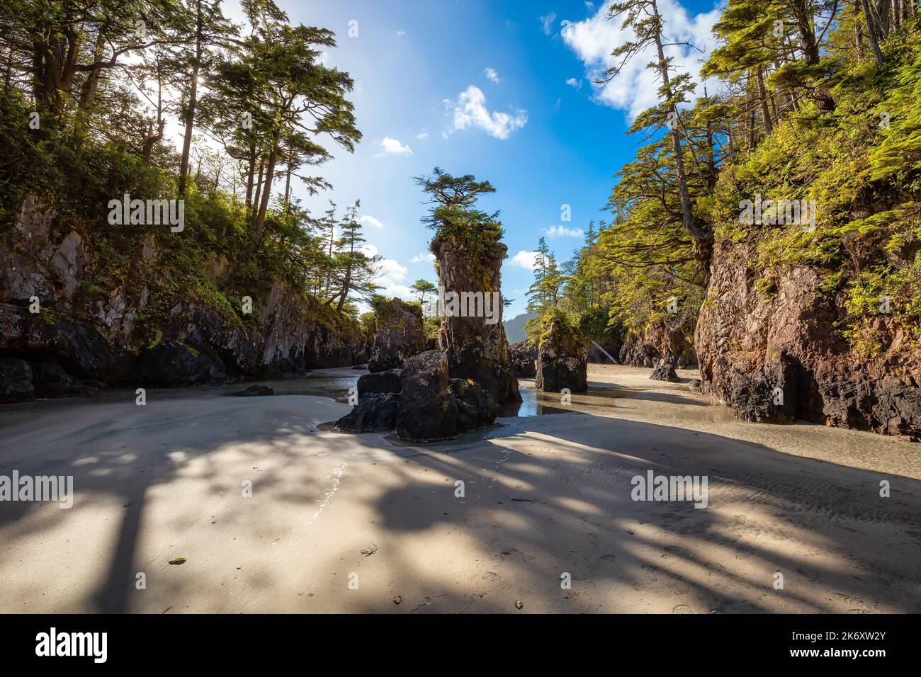 Sandy beach on Pacific Ocean Coast View. Sunny Blue Sky. San Josef Bay ...