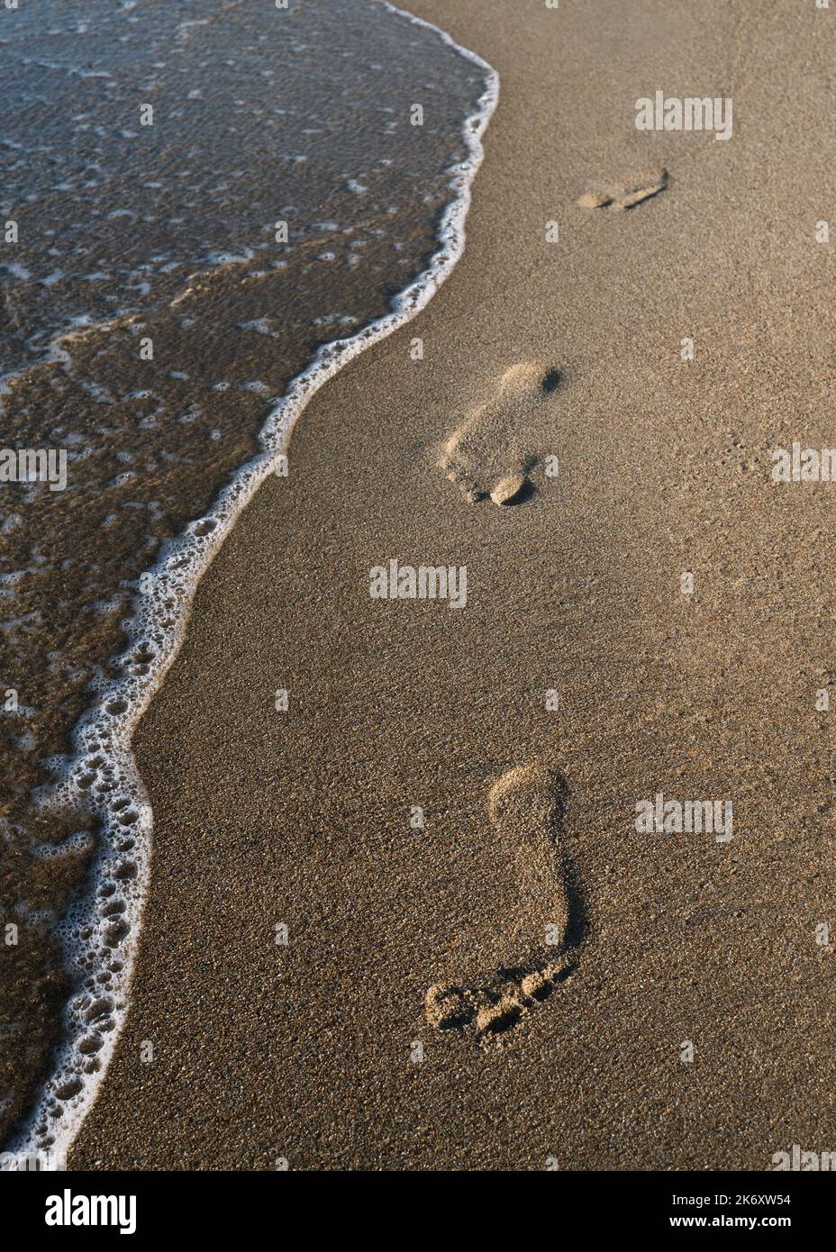 Summer background with footprints on the sand by the sea Stock Photo ...