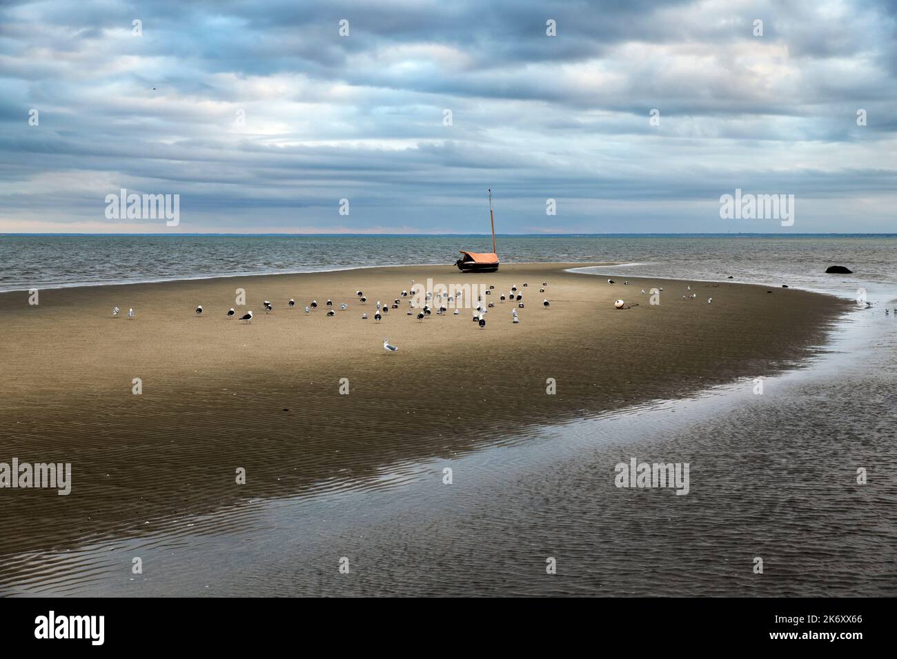Tidal art hi-res stock photography and images - Alamy