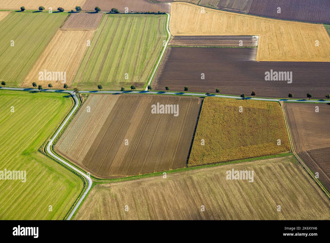 Budericher strasse hi-res stock photography and images - Alamy