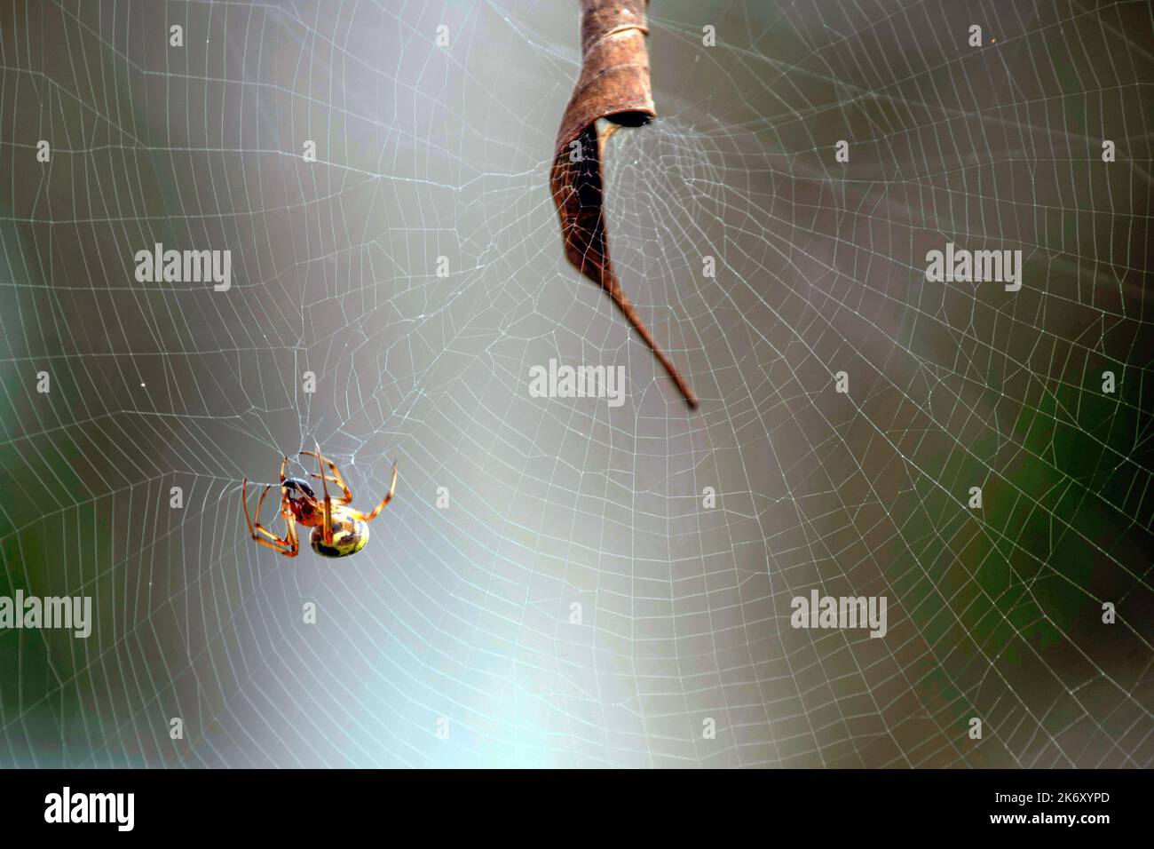 October 16, 2022, Sydney, New South Wales (NSW, Australia: An ...