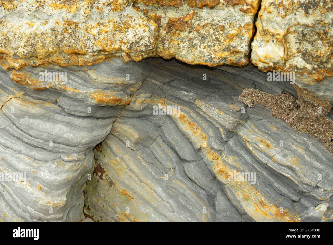 During the Jurassic Period the rocks of the North Yorkshire coast show ...