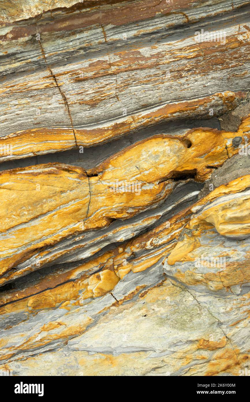 During the Jurassic Period the rocks of the North Yorkshire coast show ...