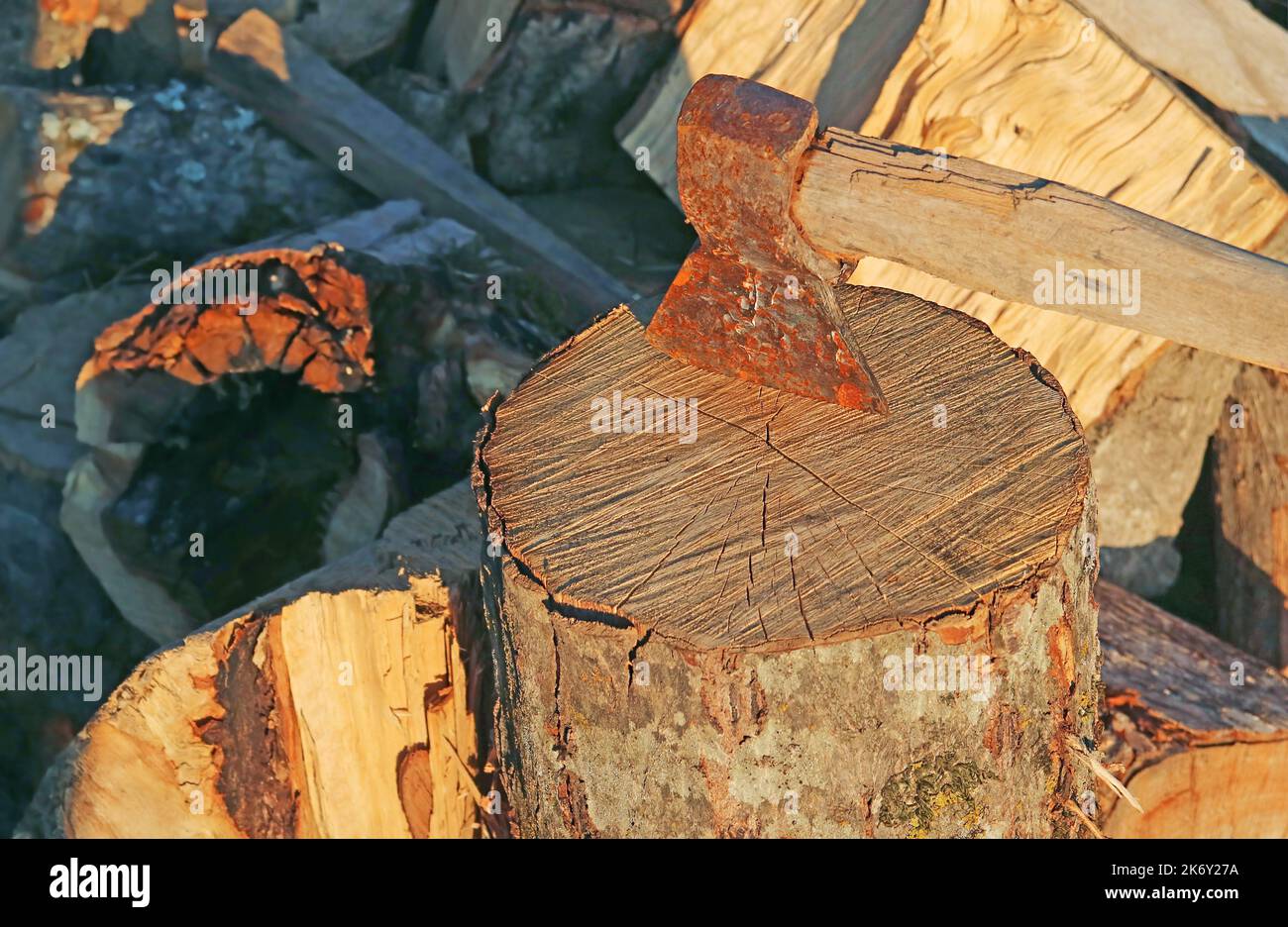 Heap of cut logs for firewood with an ax in the sunlight Stock Photo ...