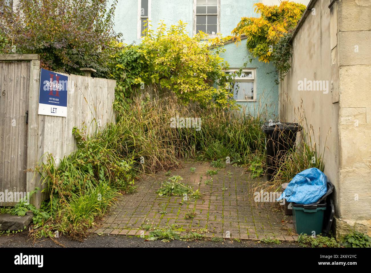 October 2022 - Unused and over grown parking bay behind a house in ...