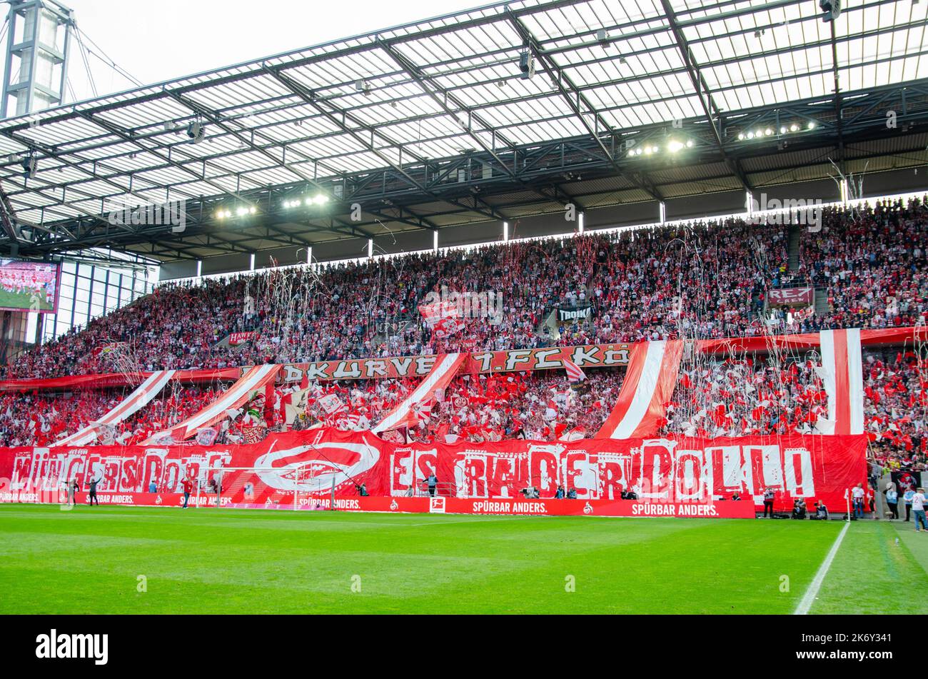 Cologne, North Rhine-Westphalia, Germany. 16th Oct, 2022. FC Cologne ...