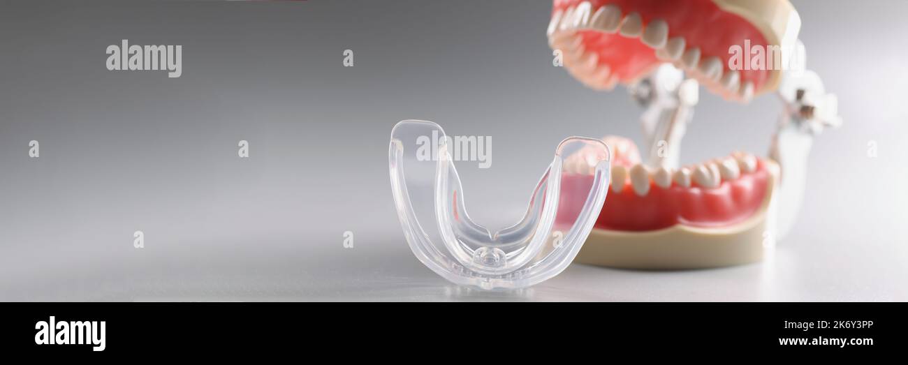 Plastic model of an open human jaw on a gray background Stock Photo - Alamy
