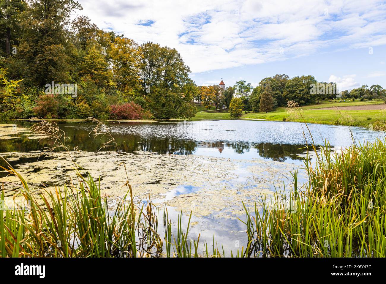 Panoramic landscaping on pond near hi-res stock photography and images ...