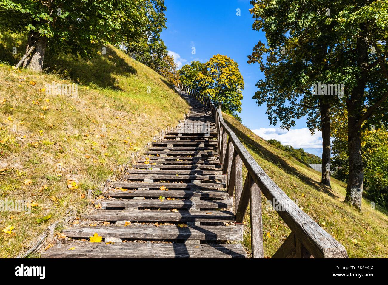 Wooden stairs in the middle of nature to climb up or go down Stock ...
